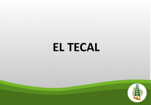 EL TECAL